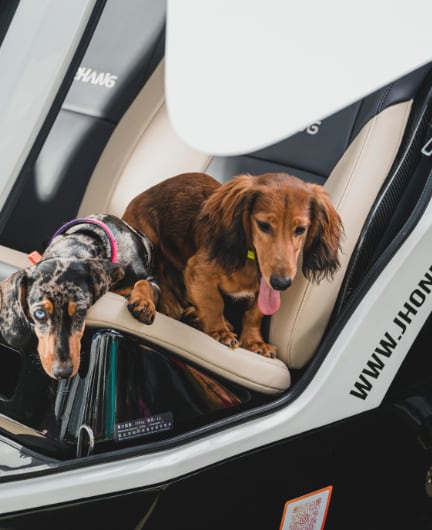 Home - JFC INTERNATIONAL